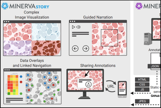 Software | Harvard Tissue Atlas