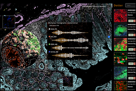 Software | Harvard Tissue Atlas