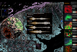 Software | Harvard Tissue Atlas